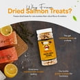 Chef Kitty 100% Wild Caught Salmon Freeze Dried Fish Treats for Cats ...