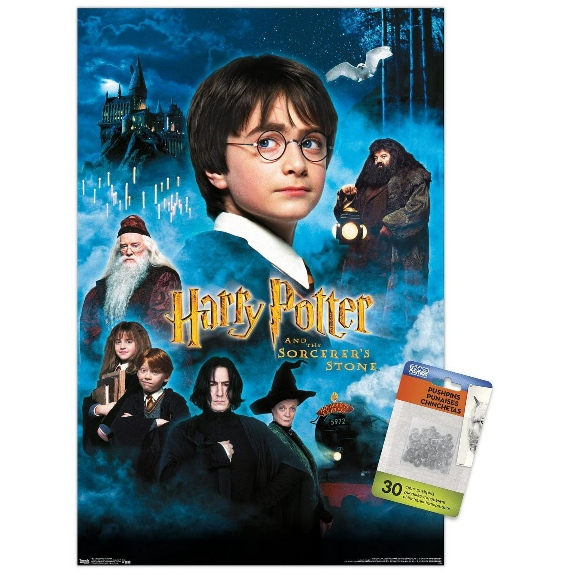 Click here for Trends International Harry Potter And The Sorcerer... prices