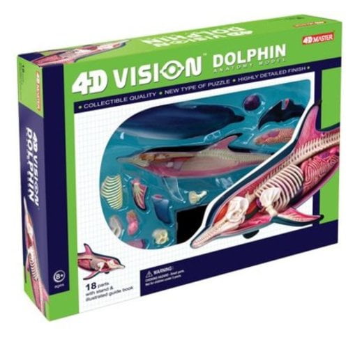 4D Vision Dolphin Anatomy Model, by 4D Master - Walmart.com