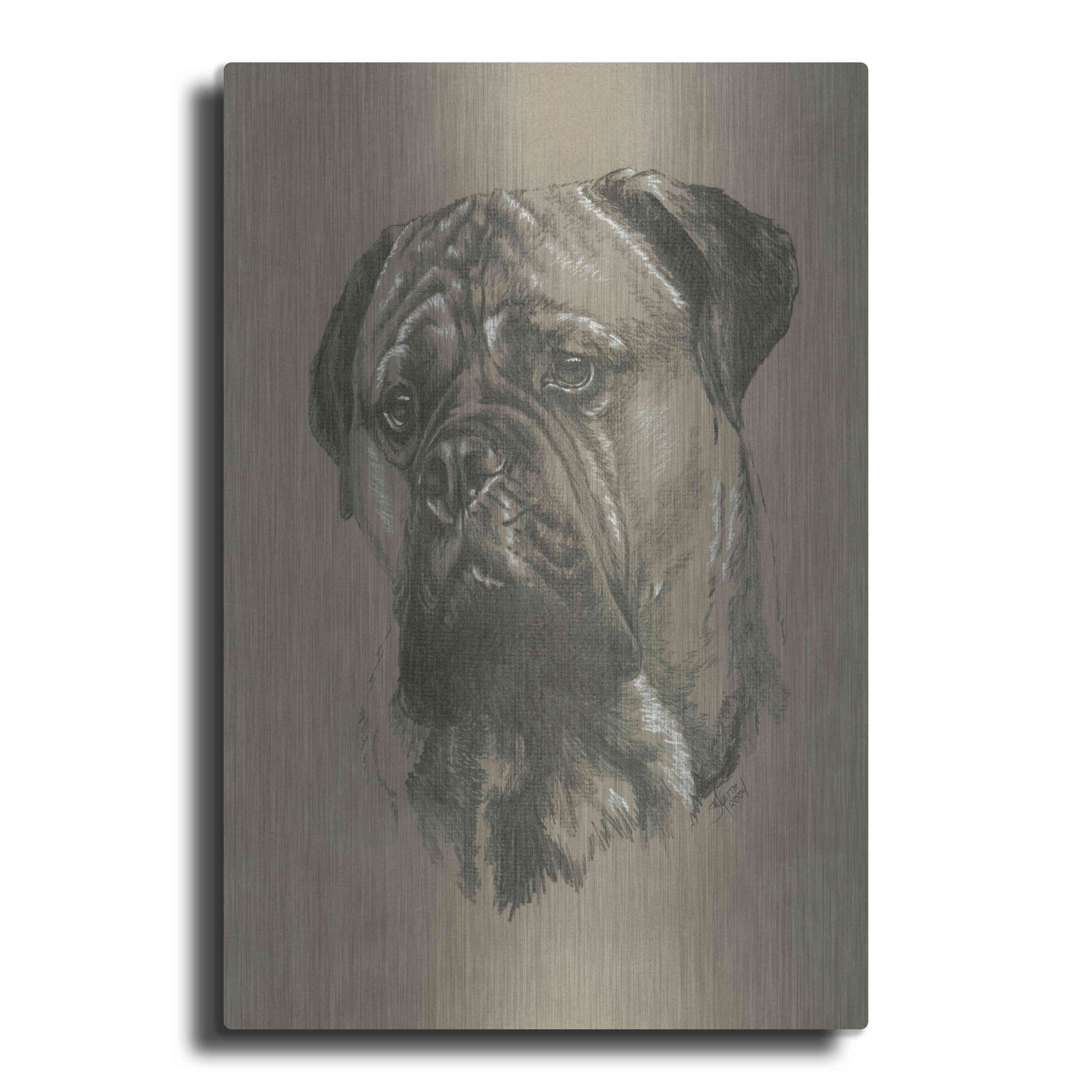 Luxe Metal Art 'Bull Mastiff' by Barbara Keith, Metal Wall Art, 12"x16 ...