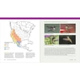 Hummingbird Handbook: Complete Garden Guide Book for These Fascinating ...