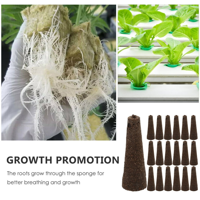 Hydroponic Root Vegetables