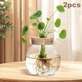 Desktop Glass Hydroponic Vase, Indoor Plant Propagation Station, Clear ...