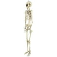 5' Spooky Life Size Skeleton Indoor/Outdoor Halloween Decoration ...