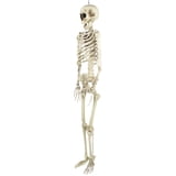 5' Spooky Life Size Skeleton Indoor/Outdoor Halloween Decoration ...