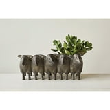 Creative Co-Op Resin Sheep Planter with Distressed Finish, Iron ...