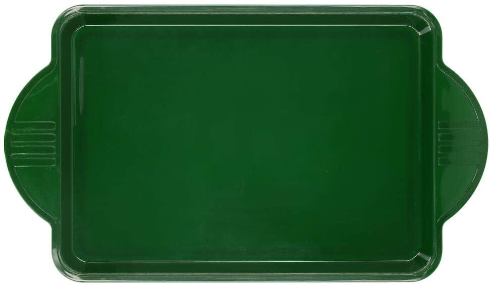 S ving Tray (Green) | Walmart Canada