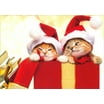Avanti Press Kittens In Christmas Stocking Box of 10 Cat Christmas ...