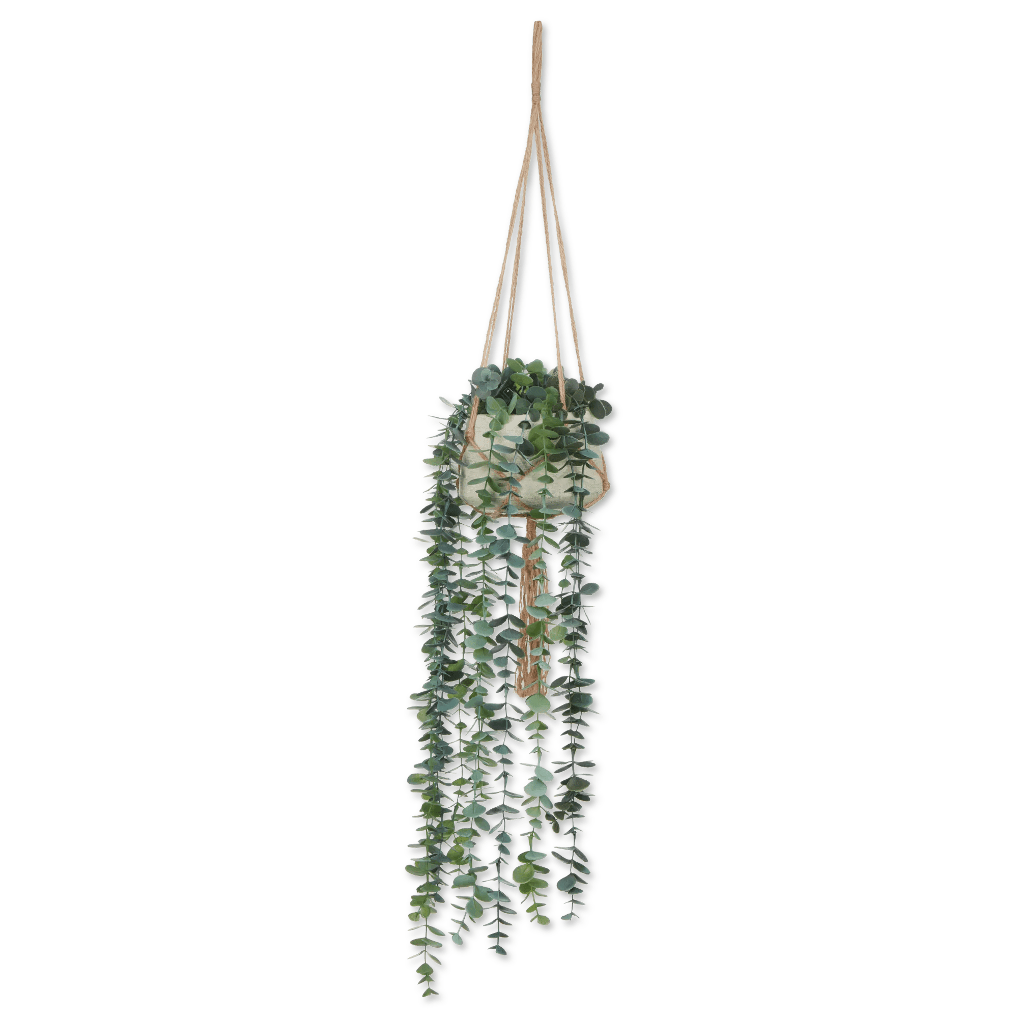 Click here for Bouclair Natural Rope Hanging Eucalyptus 6.5 X 37... prices