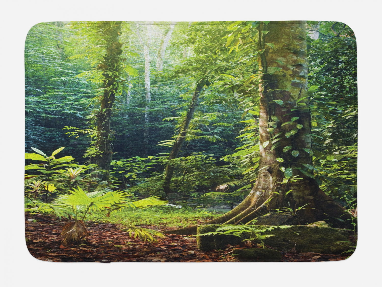 Rainforest Bath Mat, Morning Sunbeam Through Wild Forest Ivy on Trees ...