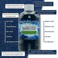 SpaSILVER Water Treatment for Hot Tubs and Spas - Concentrated True ...