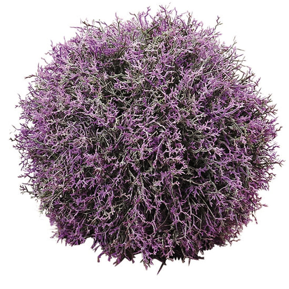 High Quality Lavender of Provence Kissing Ball or Vase Filler, 7 3/4 ...