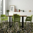 Queer Eye Caden Resin Geo Dining Chair, Indoor/Outdoor, 2-Pack, Kiwi ...