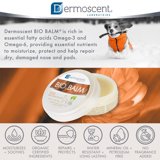 Dermoscent Bio Balm for Dogs, 50 mL - Walmart.com