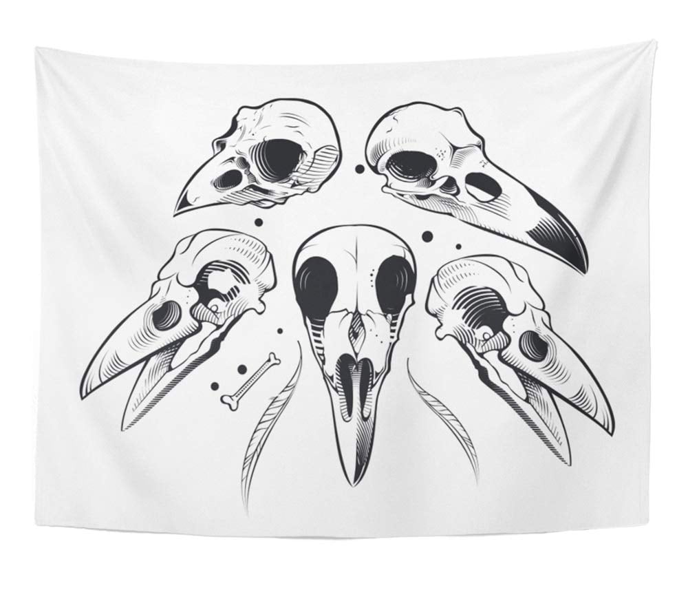 Crow Skull Art