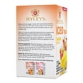 Hyleys Mango Iced Black Tea, 20 Tea Bags, Tropical and Refreshing ...