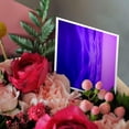 3drose, Bright Blue Purple Side Flow, 6 Greeting Cards with Envelopes ...