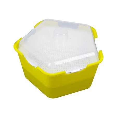 Butwevi Sprout Planting Pot Germination Kit Bean Pea Seedling Tray ...