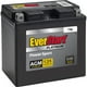 EverStart Premium AGM Power Sport Battery, Group Size T16L 12 Volt, 260 ...