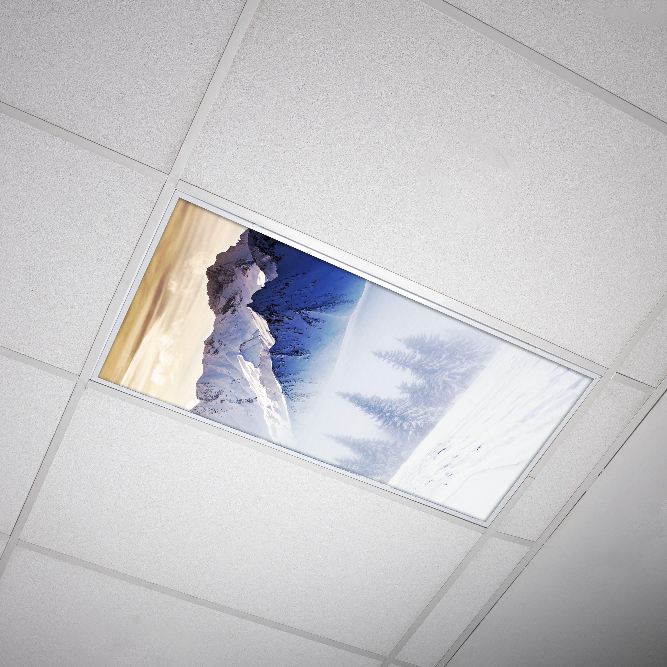 Octo Lights - Fluorescent Light Covers - 2x4 Flexible Ceiling Light ...