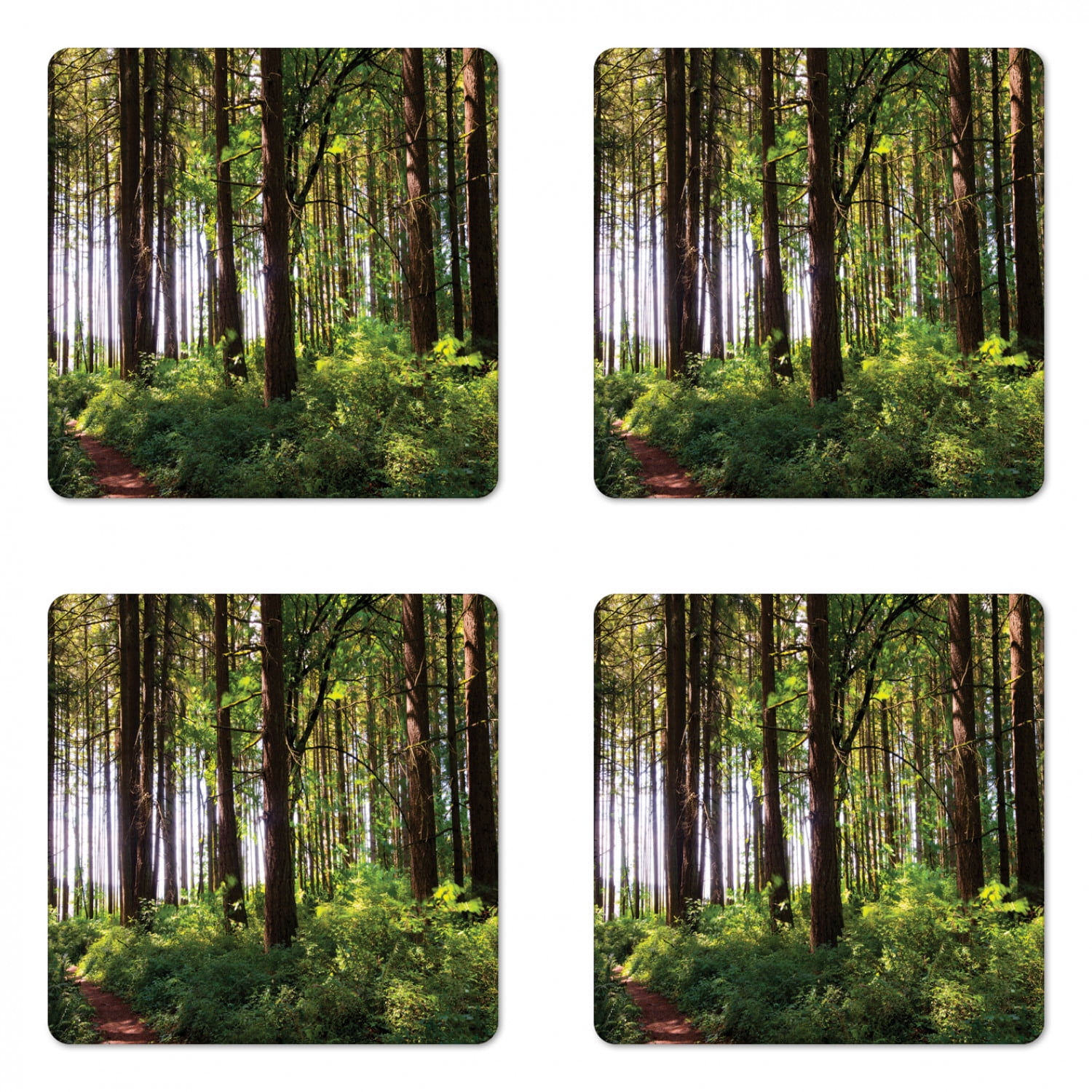 Forest Coaster Set of 4, Pathway in a Shady Forest of Bushes and Thick ...