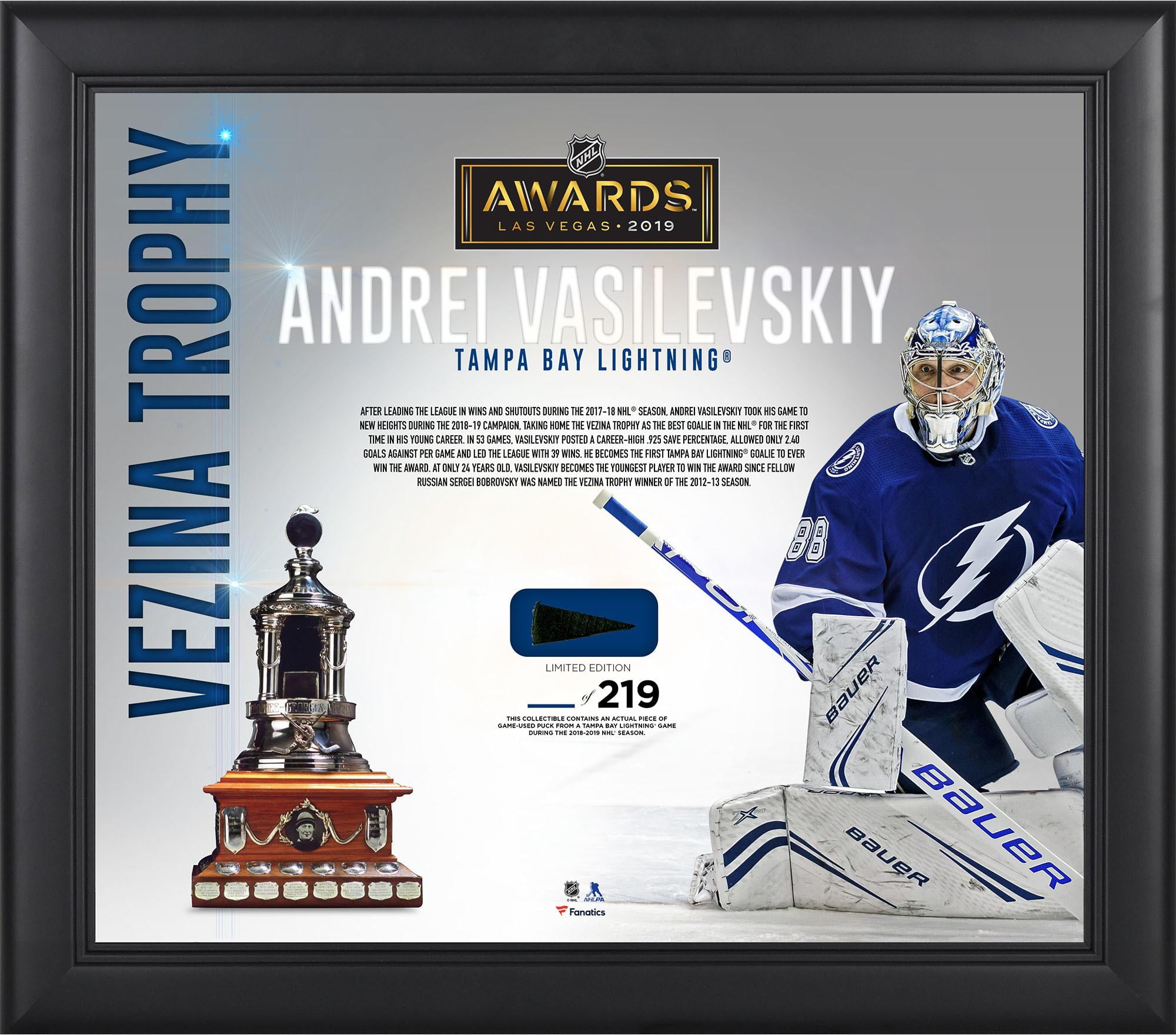 Andrei Vasilevskiy Tampa Bay Lightning Framed 15" x 17" 2019 NHL Awards ...