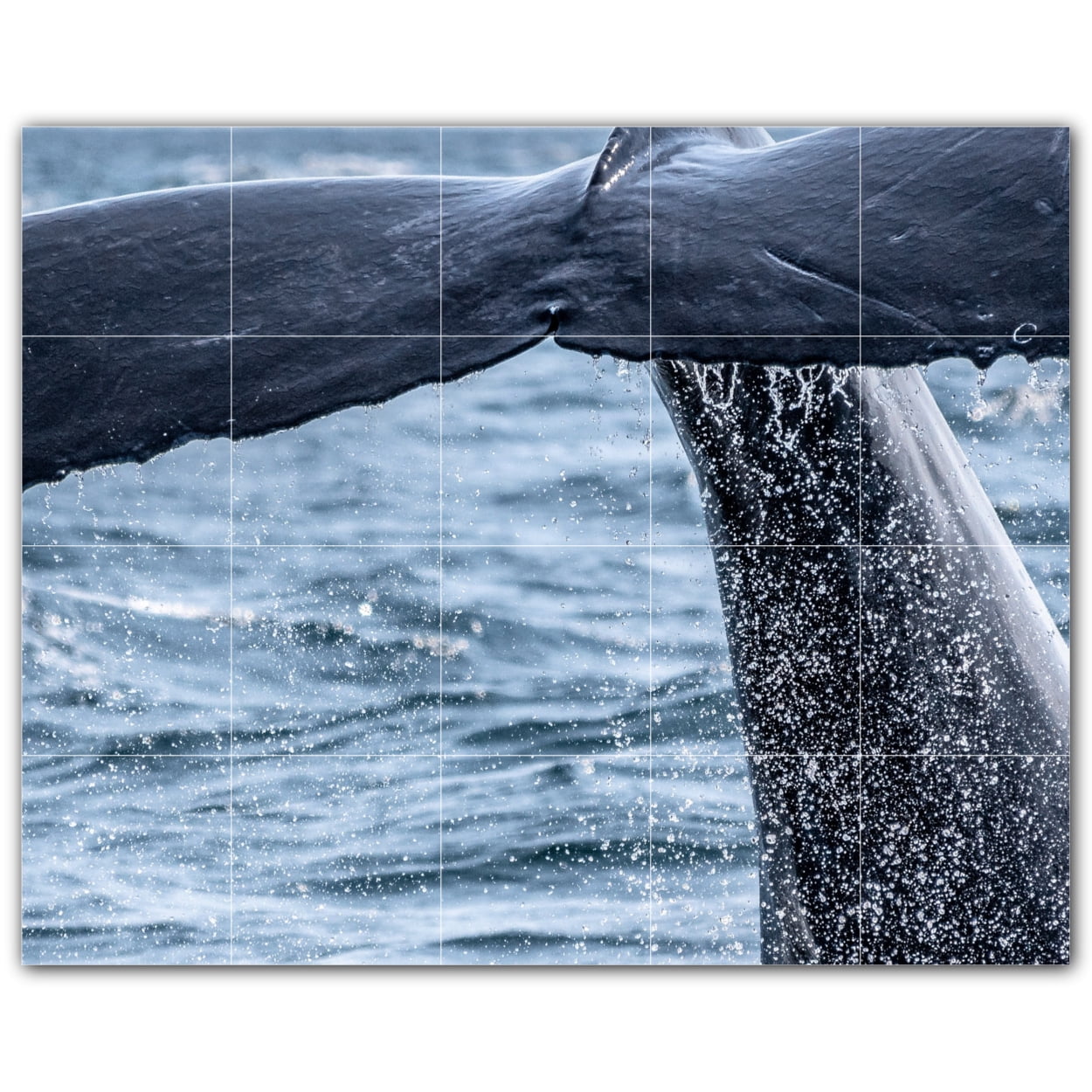 Picture-Tiles.com: Whale Ceramic Tile Wall Mural WAL501198-54L. 40"W x ...