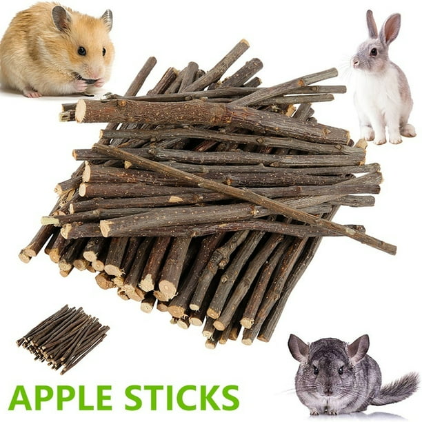 Willstar Hamster Chew Toy Apple Wood Sticks Twigs Cleaning Teeth Pet ... Willstar Hamster Chew Toy Apple Wood Sticks Twigs Cleaning Teeth Pet ...