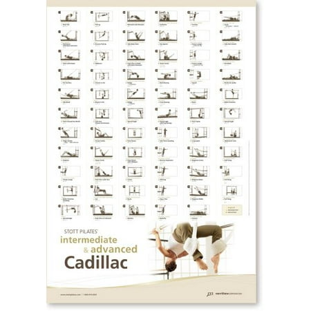 STOTT PILATES Wall Chart - Intermediate/Advanced Cadillac | Walmart Canada