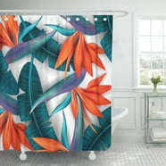 Splash Home Sunraya Floral Polyester Fabric Shower Curtain, 70" x 72 ...