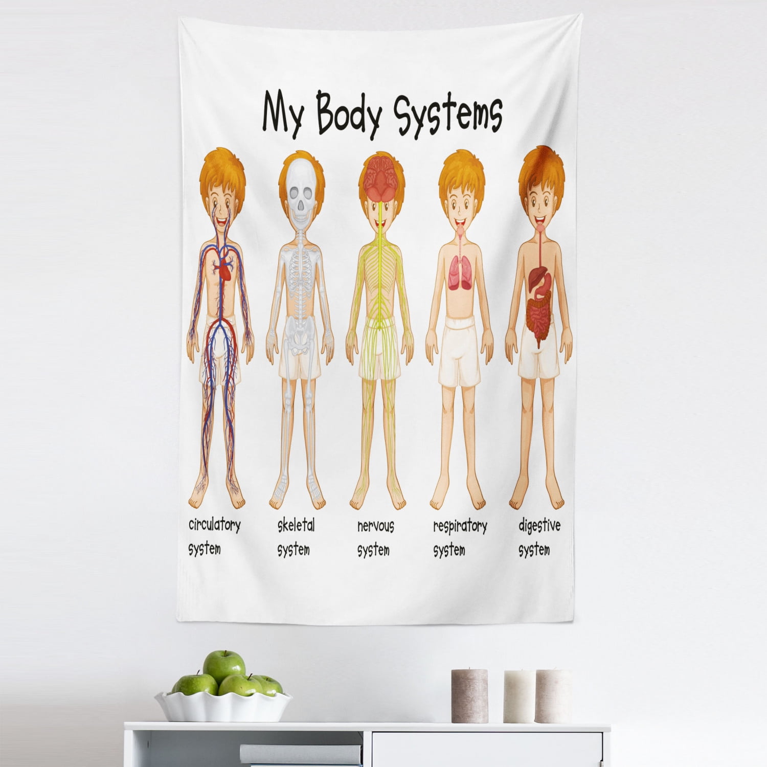 Science Tapestry, Different Systems in Human Nervous Skeletal Digestive ...