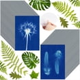 60 Sheets Sun Print Paper Cyanotype Kit, A6 Art with 1 Plastic Tool for ...