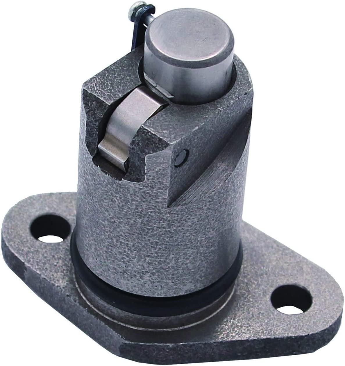 Seapple Timing Chain Hydraulic Tensioner Adjuster Fit Compatible with ...