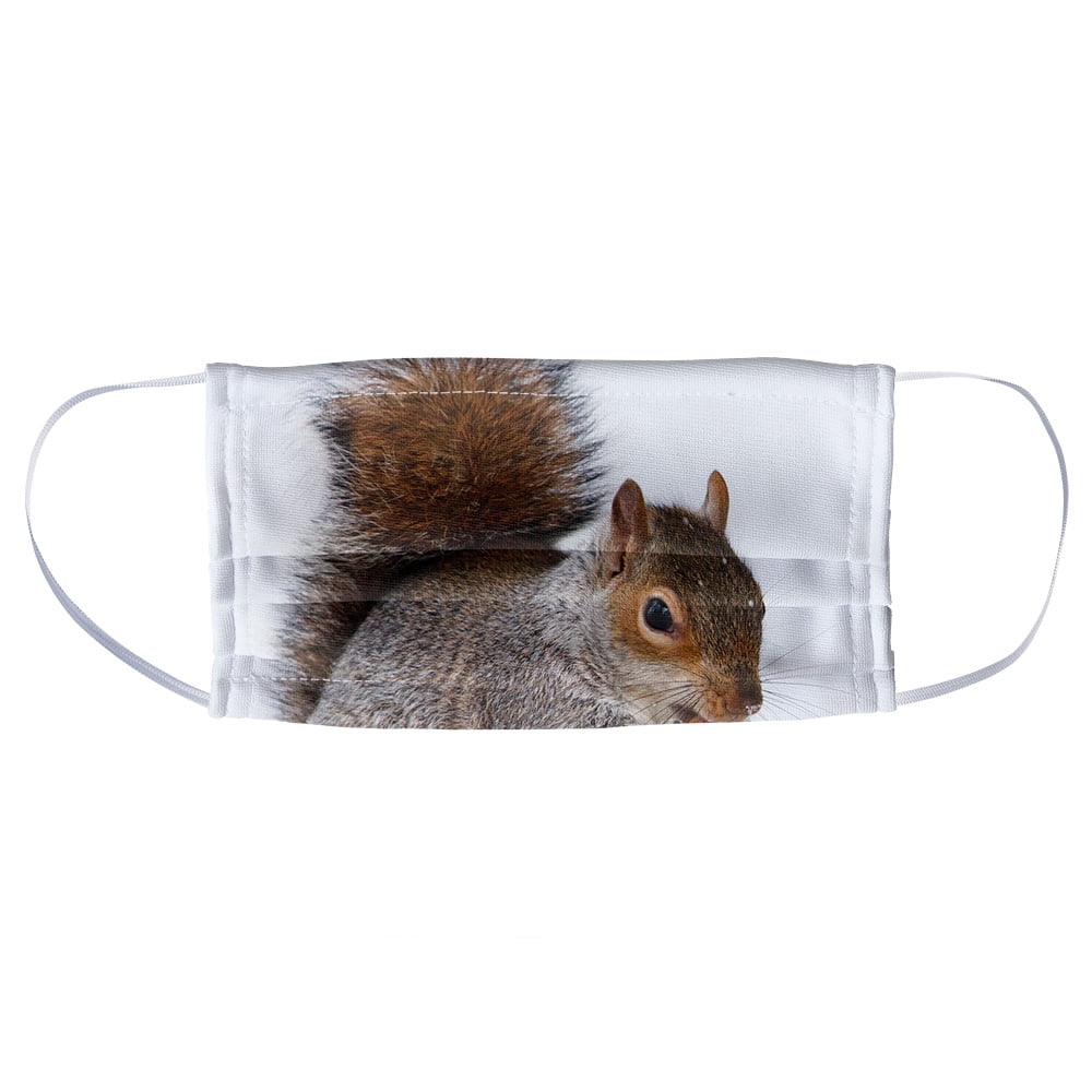 Squirrel Eating in Winter 1-Ply Reusable Face Mask Covering, Unisex ...