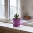 8Pcs Flower Pots, Pots with Trays for Seedlings & Miniature Plants ...