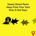 Victor Rodent Away Defense - Mole & Gopher Repellent Granules, 10 lb ...