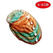 Abalone Fish