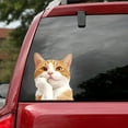 NIUBWJL Cute Cartoon Cat Thinking Life Car Decals, Waterproof Vinyl ...