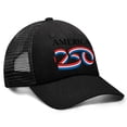 2026 United States 250th Anniversary Eagle & Liberty Dad Hat for Men ...