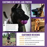 Chew King 2.5" Durable Rubber Fetch Balls Dog Toy, 8 Pack - Walmart.com