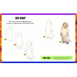 Learn to Draw: How to Draw Sea Creatures : Step-By-Step Instructions ...