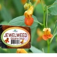 Jewelweed Soap for Poison Ivy Wash and Soothing 4oz Bar (Two 4 oz Bar ...