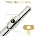 Ktaxon Nickel Plated C Closed Hole 16 Key Flute for Student with Case E ...