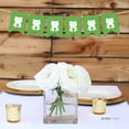 Pennant Party Banner Frog - Walmart.com