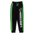 Minecraft Gamer's Sweatpants - Boys Fleece 2 Pack Jogger Pants, Little ...