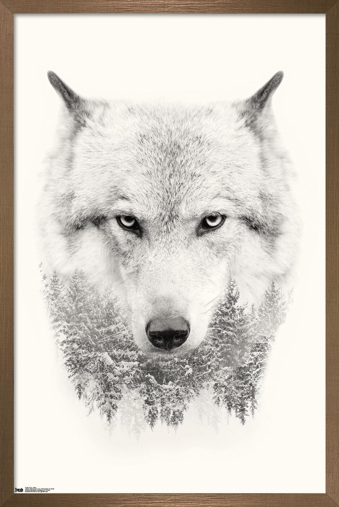 Wolf - Trees Wall Poster, 14.725" x 22.375", Framed - Walmart.com
