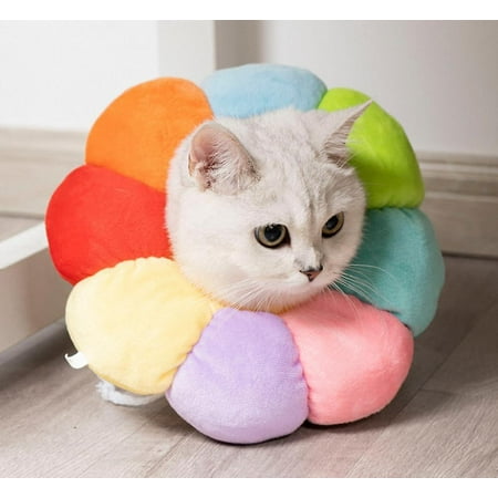 Cat Small Dog Recovery Collar, Cute Neck Cone After Surgery, Adjustable ...