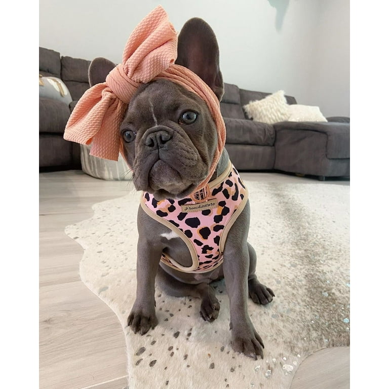 Can I Feed My French Bulldog Peaches