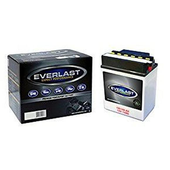 Everstart Battery Atv