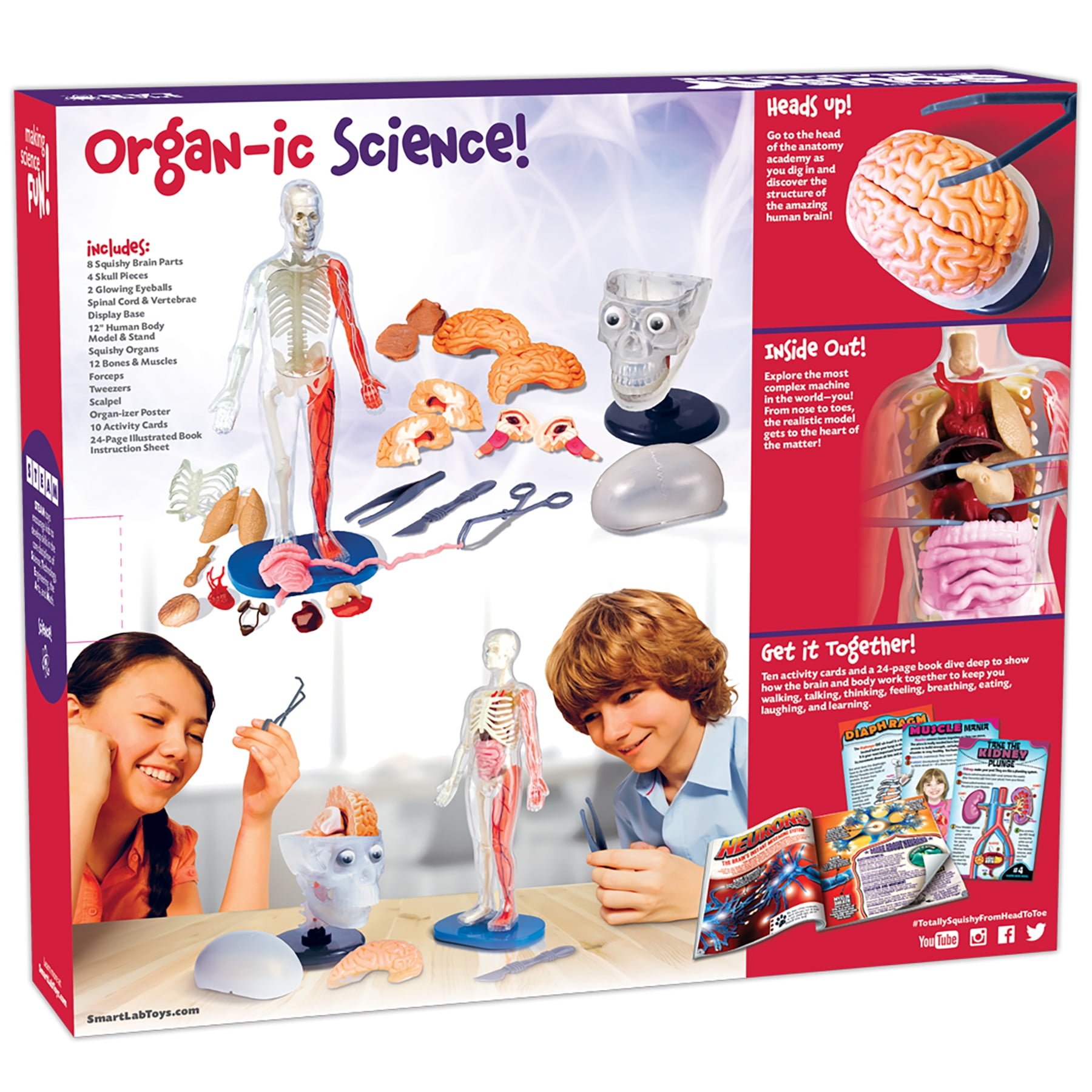 SMART LAB SQUISHY HUMAN BODY | atelier-yuwa.ciao.jp